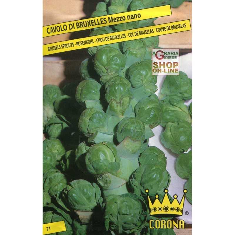 BRUSSELS CABBAGE SEEDS HALF Dwarf