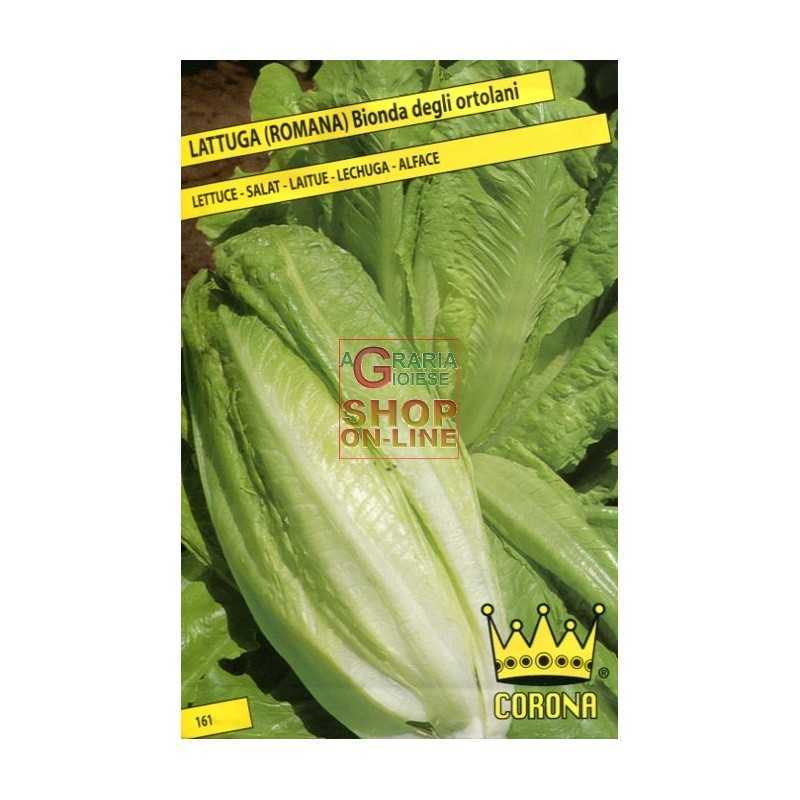SEEDS OF BLOND ROMAN LETTUCE FROM THE ORTOLANI