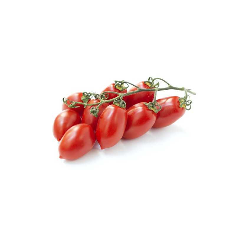 PICCADILLY TOMATO IN POLYSTEROL OF 84 PLANTS