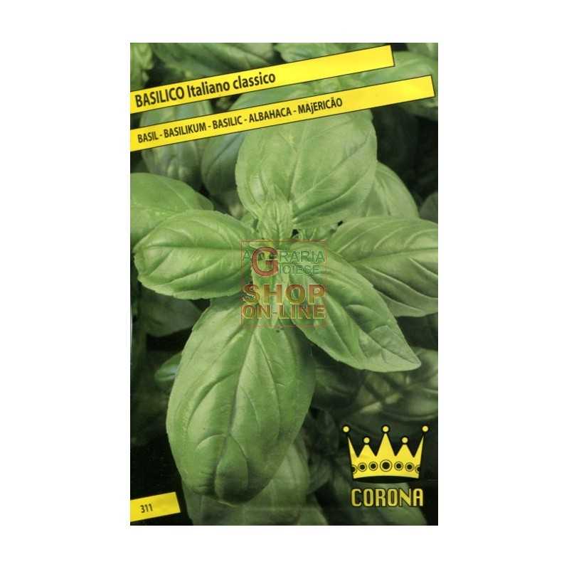 CLASSIC ITALIAN BASIL SEEDS FROM GR.10