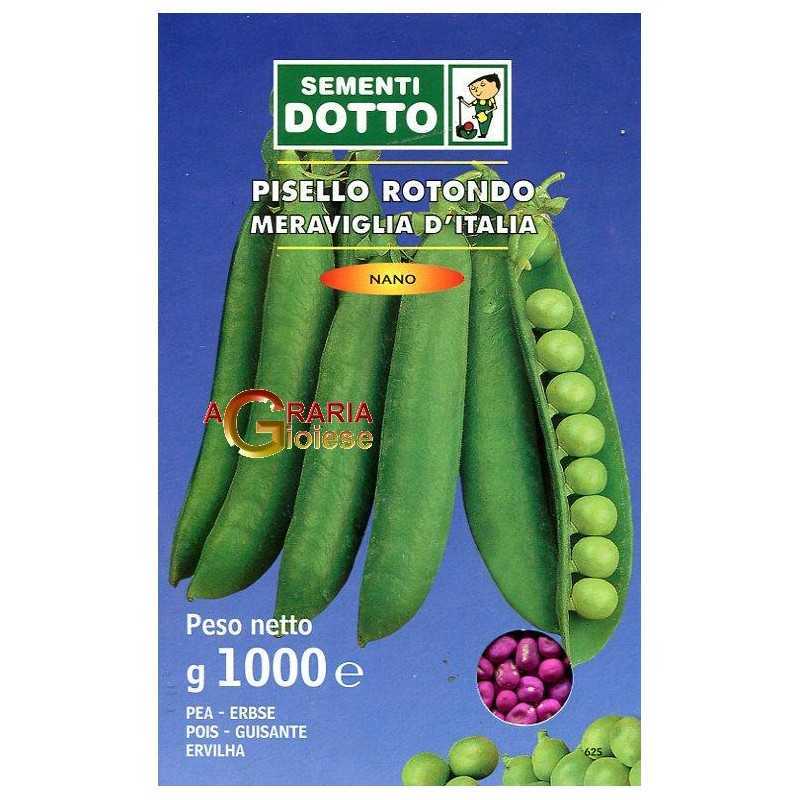 SEMI DI PISELLO NANO MERAVIGLIA DI ITALIA KG. 1