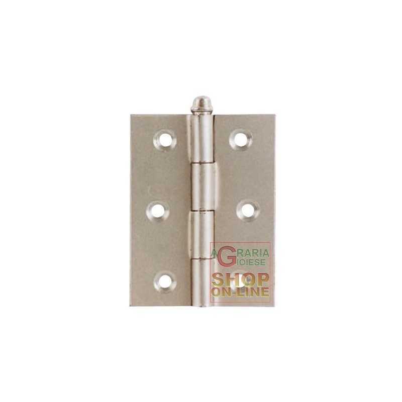 HEAVY GALVANIZED HINGES 10 CM ART. 96 PCS. 2